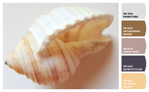 15 Color Palettes Inspired by the Ocean - The Cameron Team