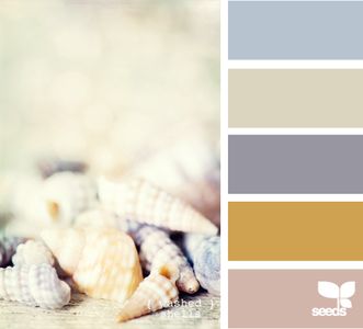 15 Color Palettes Inspired by the Ocean - The Cameron Team
