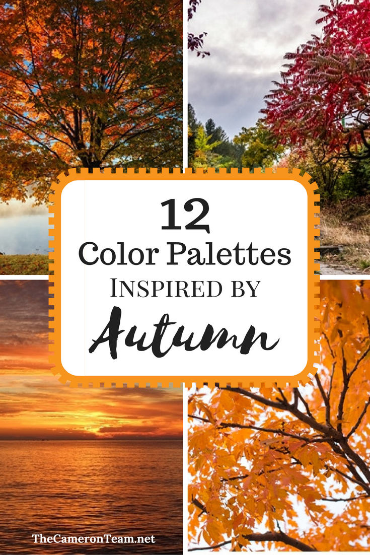 12 Color Palettes Inspired by Autumn - The Cameron Team