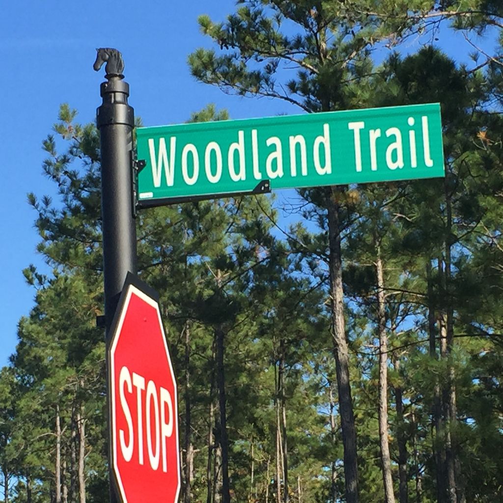 Forest Hills - Street Sign - The Cameron Team