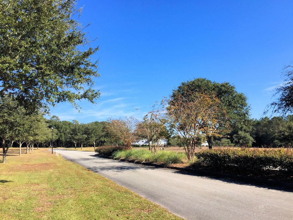 Sloop Point Plantation - Streetscape - The Cameron Team