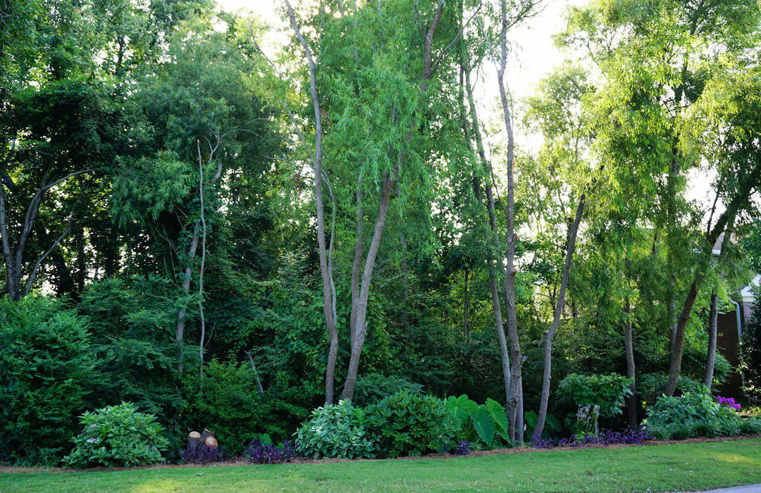 Rivers Edge Homes for Sale in Wilmington, NC | The Cameron Team